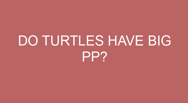 Do Turtles Have Big PP?
