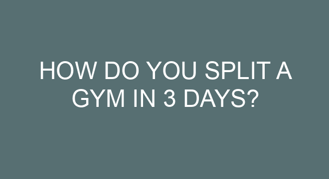 How Do You Split A Gym In 3 Days how-do-you-split-a-gym-in-3-days