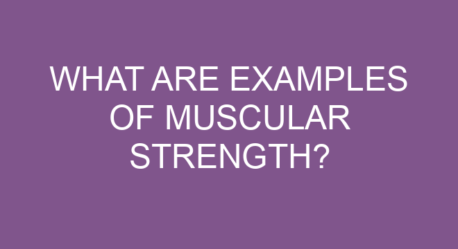 What Are Examples Of Muscular Strength what-are-examples-of-muscular-strength