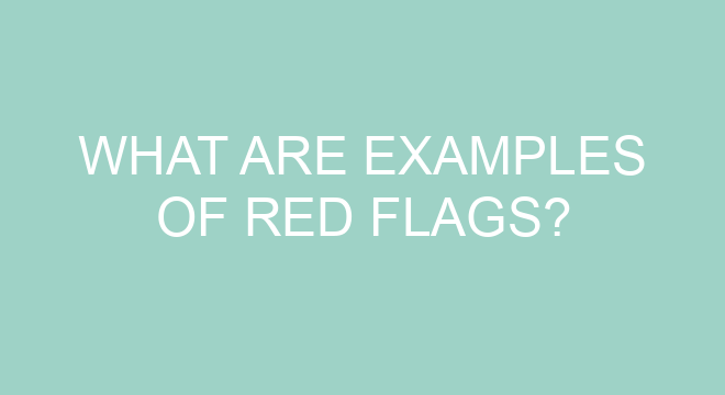 What Are Examples Of Red Flags?