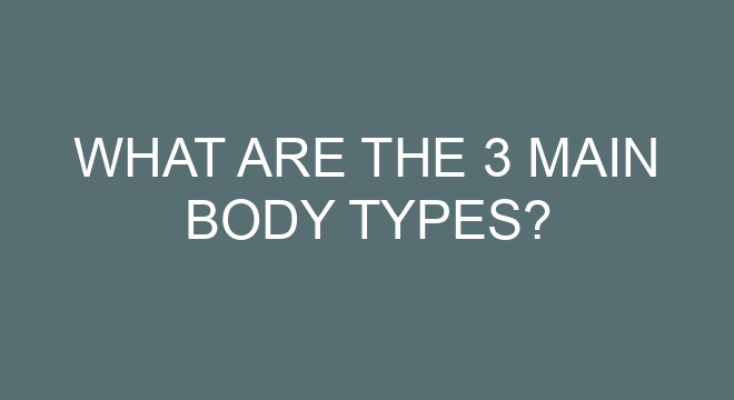 What Are The 3 Main Body Types?