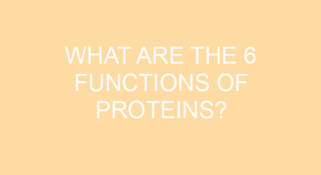 What Are The 6 Functions Of Proteins what-are-the-6-functions-of-proteins