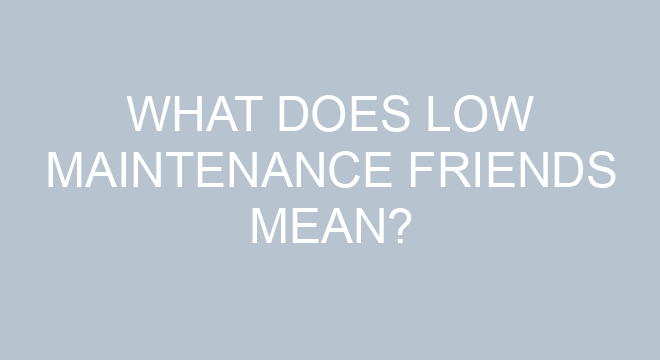What Does Low Maintenance Friends Mean