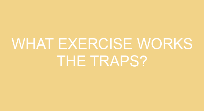 What Exercise Works The Traps what-exercise-works-the-traps