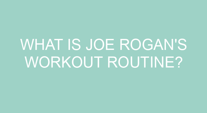 What Is Joe Rogan's Workout Routine?