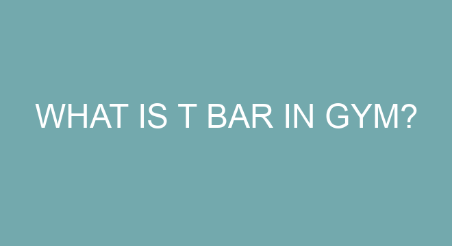 What Is T Bar In Gym?