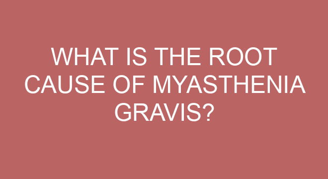 what-is-the-root-cause-of-myasthenia-gravis