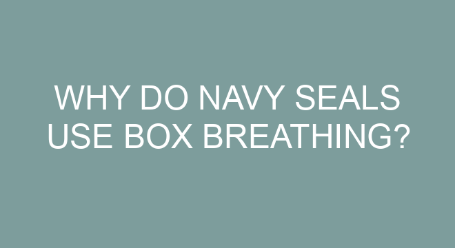 Why Do Navy Seals Use Box Breathing