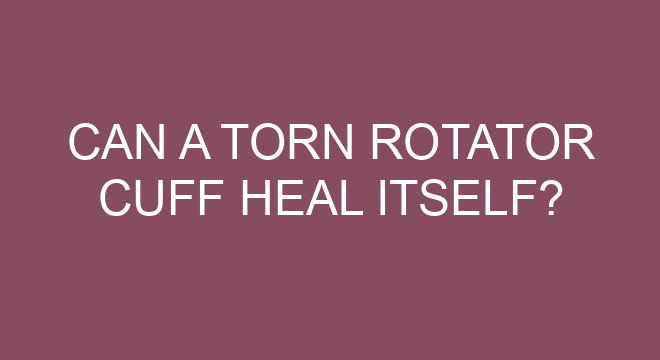 Can A Torn Rotator Cuff Heal Itself? Can A Torn Rotator Cuff Heal Itself?