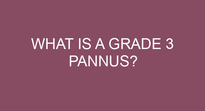 What Is A Grade 3 Pannus?